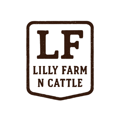 Lilly Farm N Cattle